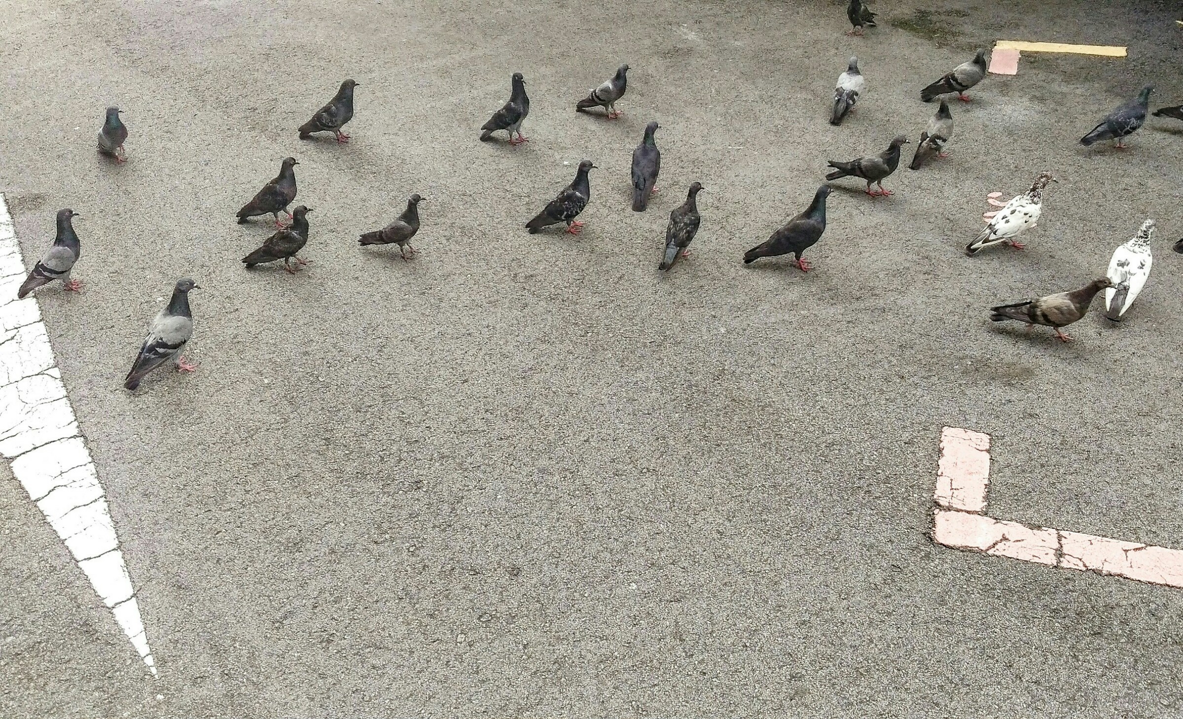 Eternal Life | Really Diary: Contemporary Artist Tomoni Shintaku BLOG