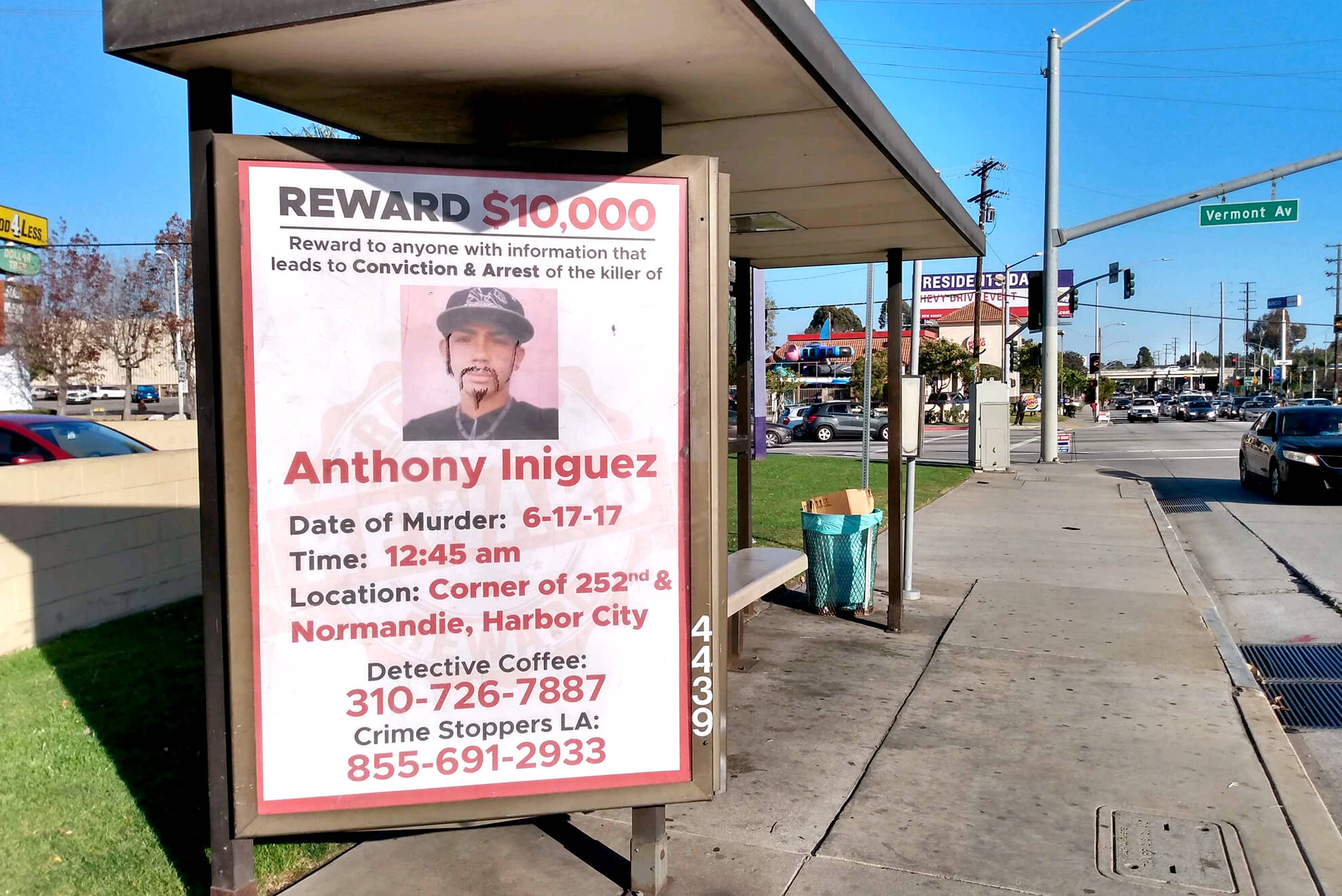 Tonkatsu Bento. | Really Diary: Contemporary Artist Tomoni Shintaku BLOG