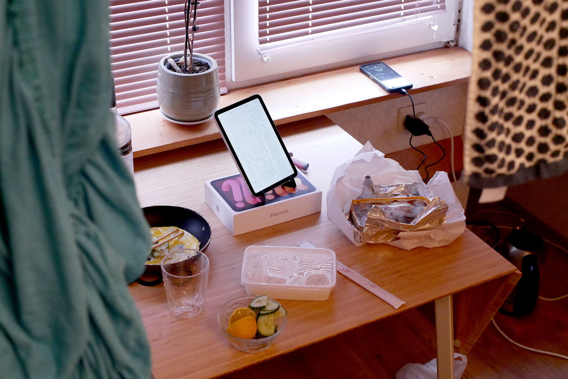 Her Illness | Really Diary: Contemporary Artist Tomoni Shintaku BLOG