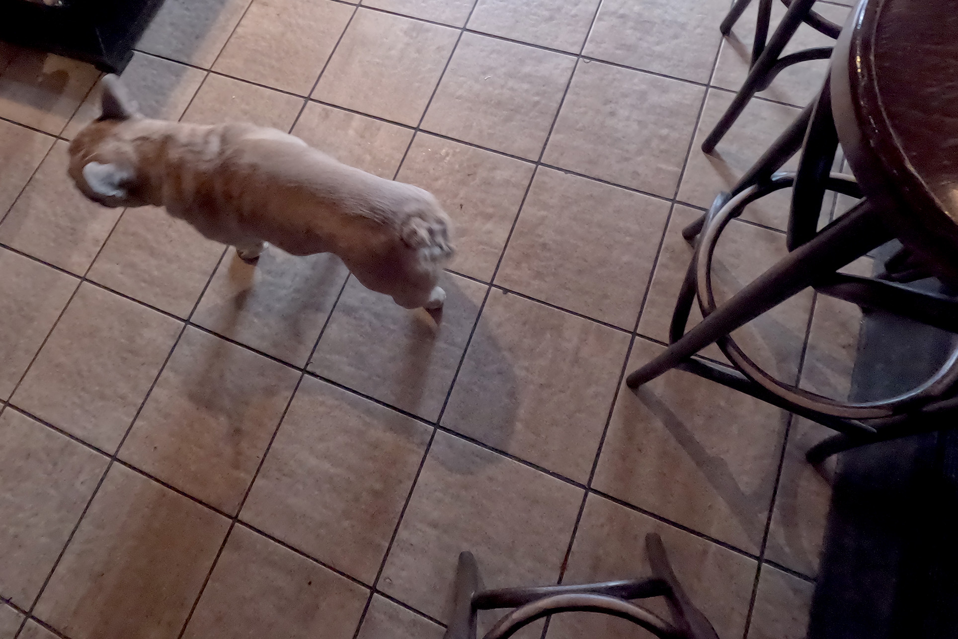 Terrible Trouble Continues | Really Diary: Contemporary Artist Tomoni ...