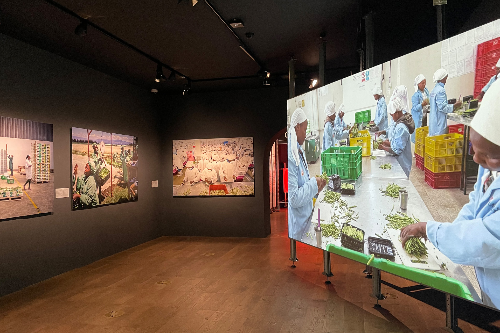 Meeting Friends | Really Diary: Contemporary Artist Tomoni Shintaku BLOG